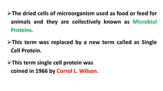 Single Cell Protein by Dr. Pooja Singh MSc., PhD Botany | PPTX
