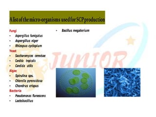 SINGLE CELL PROTEINS | DOCX