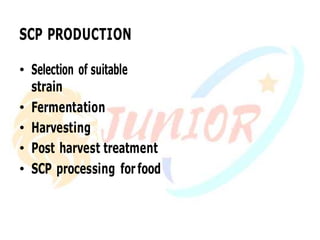 SINGLE CELL PROTEINS | DOCX