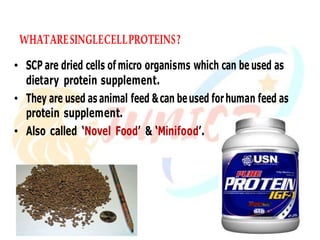 SINGLE CELL PROTEINS | DOCX