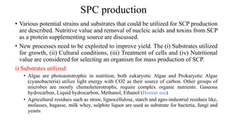 Single Cell Proteins | PPTX