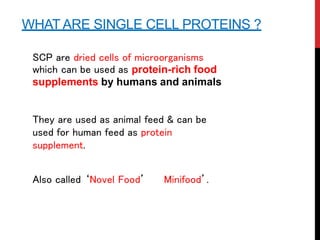 scp-presentations-210514064537.pptx | Chemistry | Science