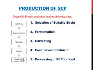 scp-presentations-210514064537.pptx | Chemistry | Science