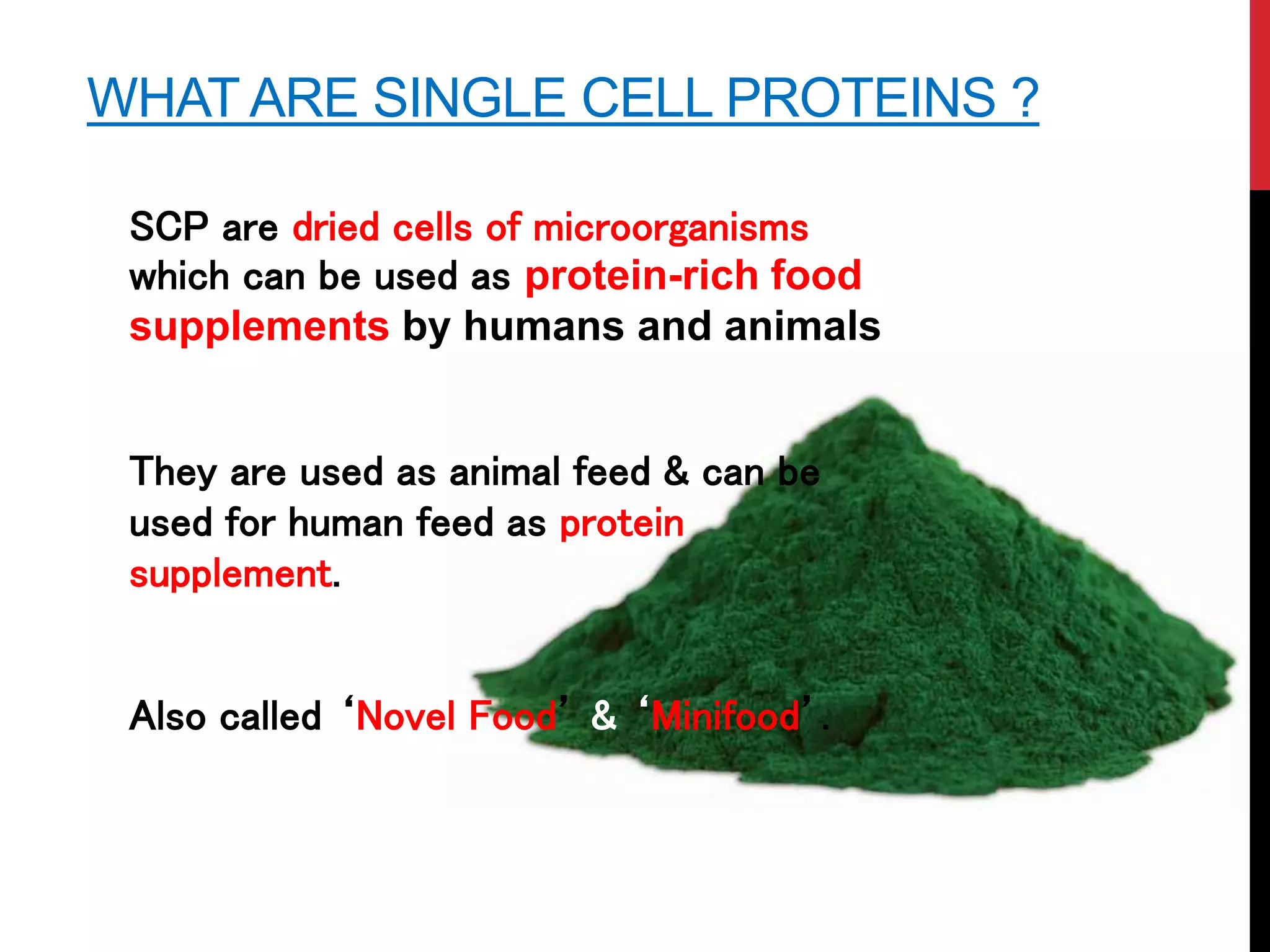 Single Cell Protein - Slideshare PPT | PPTX