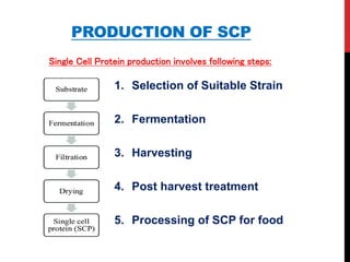 Single Cell Protein - Slideshare PPT | PPTX