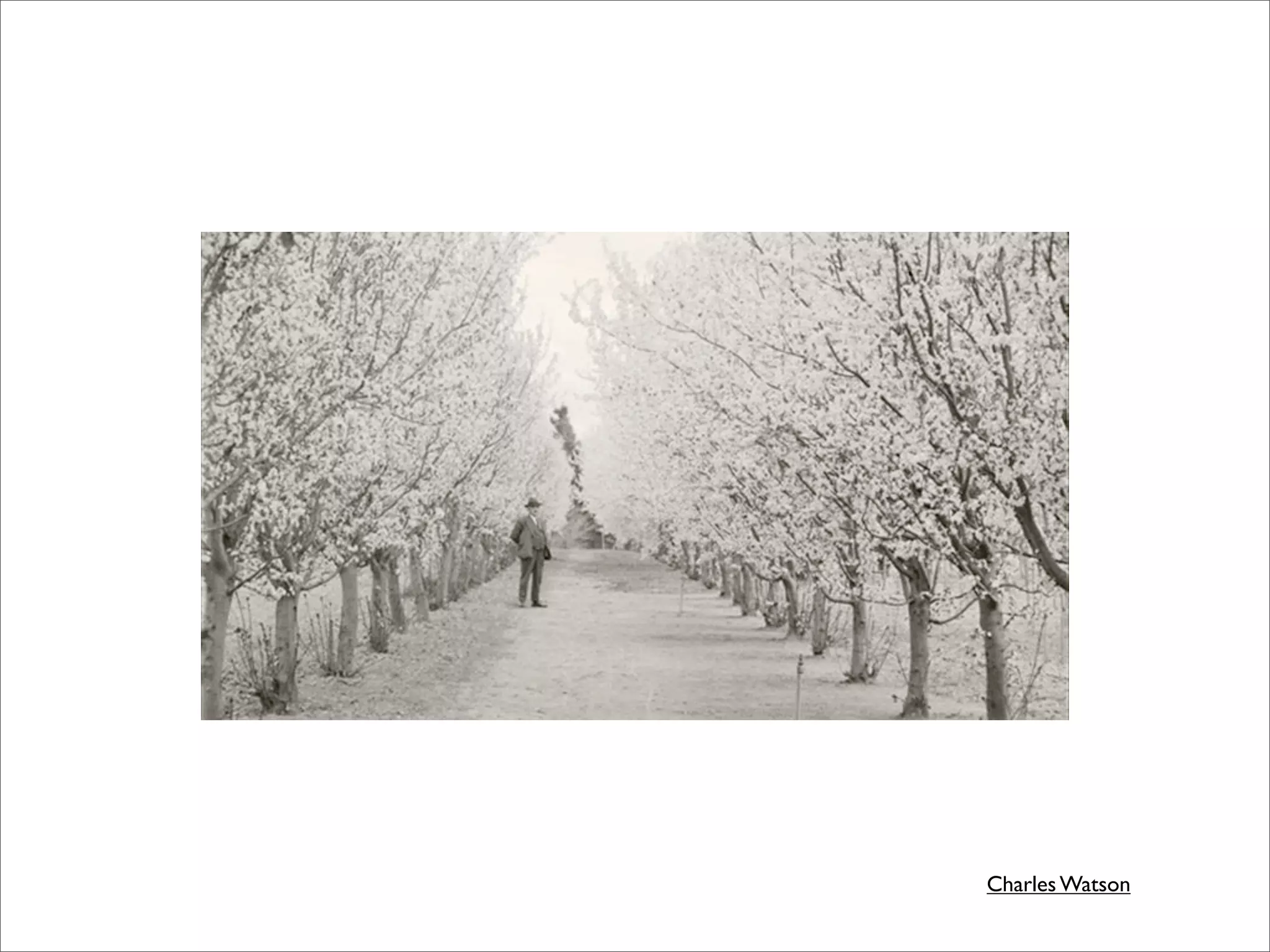 Personal Development Pathways | PDF