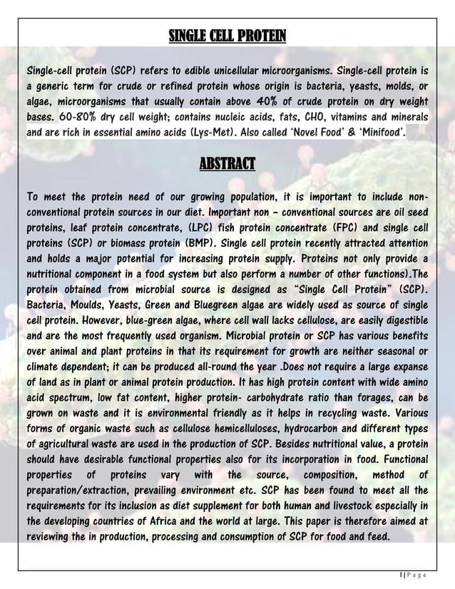 SINGLE CELL PROTEIN | PDF | Chemistry | Science