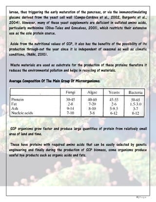 SINGLE CELL PROTEIN | PDF