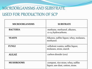 SCP (single cell protein) production | PPTX