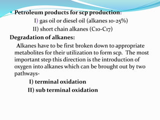 SCP (single cell protein) production | PPTX