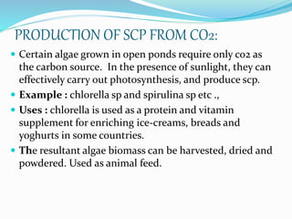 SCP (single cell protein) production | PPTX