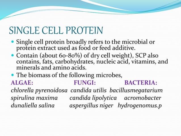 SCP (single cell protein) production | PPTX