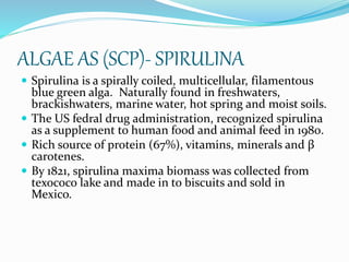 SCP (single cell protein) production | PPTX