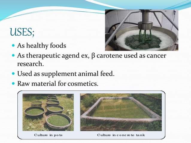 SCP (single cell protein) production | PPTX