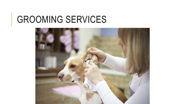 SC_PPT_1_Pets_AlmamoonAlshaif.pptx