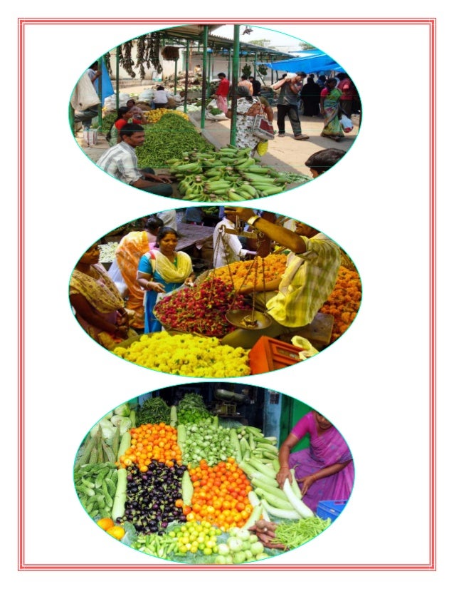 Crop production 2012-13 andhra pradesh