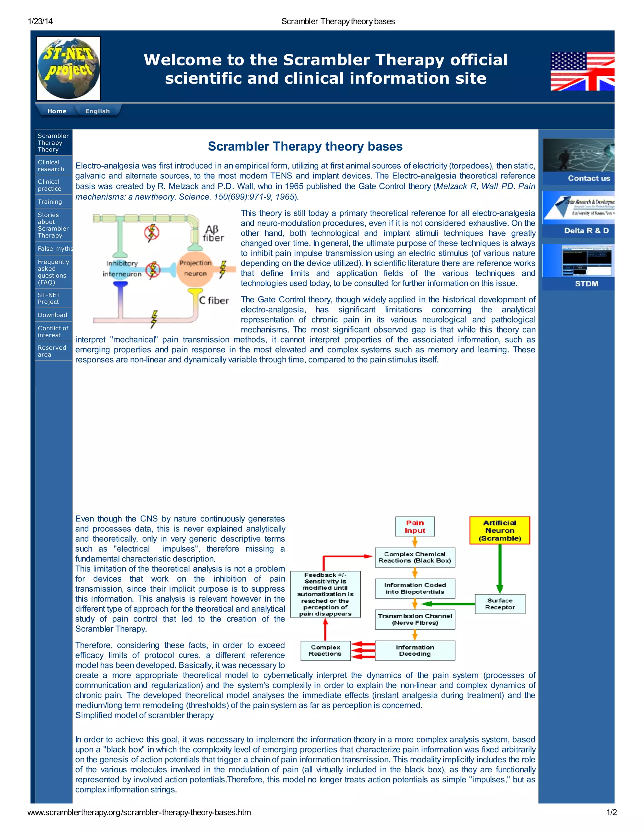 Scrambler therapy theory bases | PDF