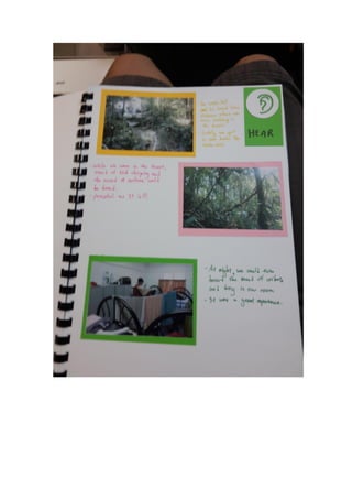 Scrapbook | PDF