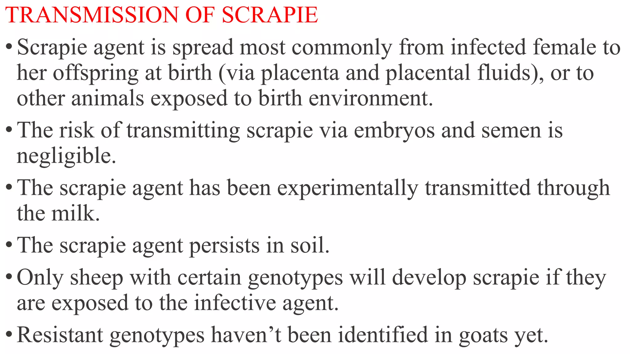 prion diseases(Scrapie and cjd) | PPTX