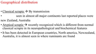 prion diseases(Scrapie and cjd) | PPTX
