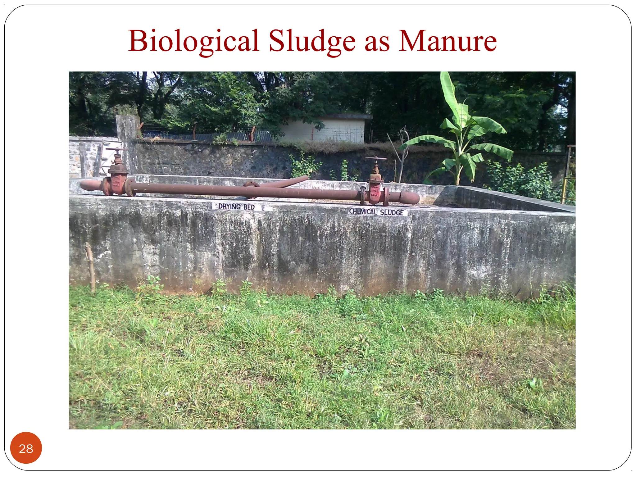 Scrap management | PPT