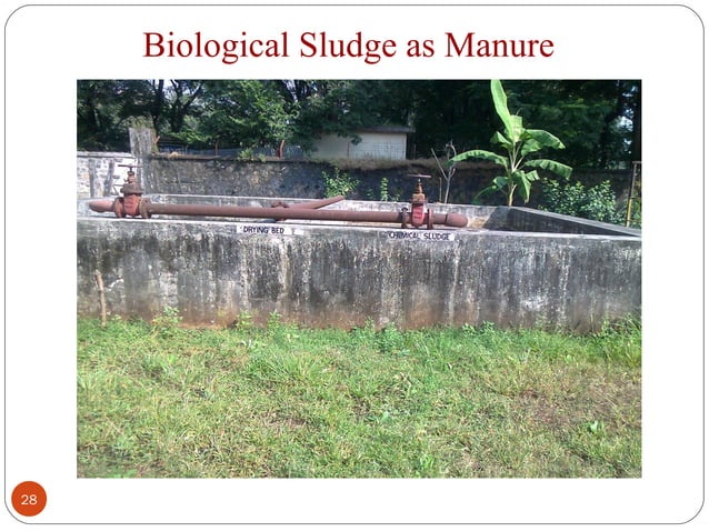 Scrap management | PPT