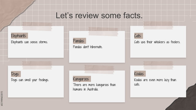 Scrap Notes · SlidesMania.pptx