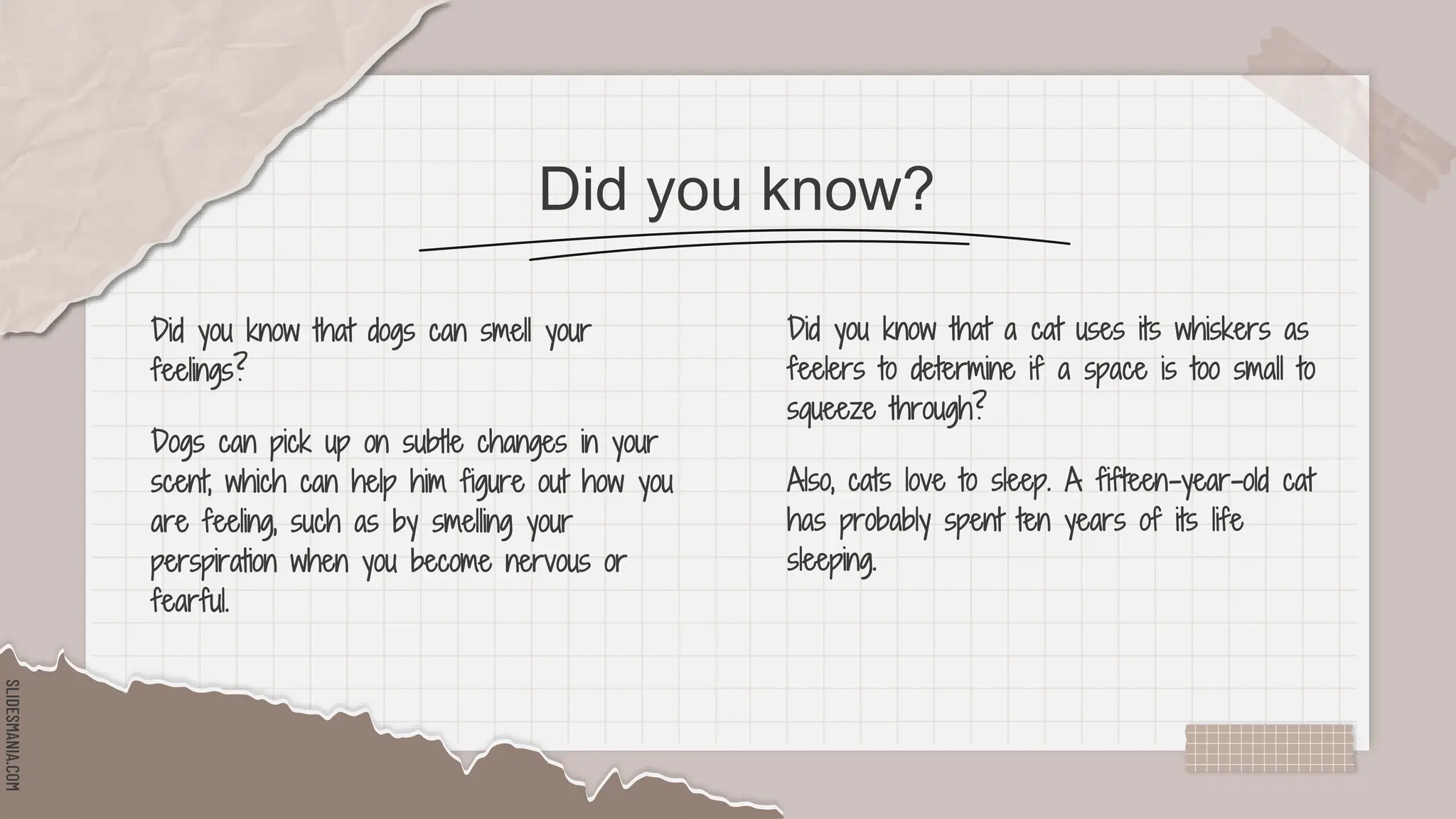 Scrap Notes · SlidesMania powerpoint ppt | PPT Scrap Notes · SlidesMania powerpoint ppt | PPT