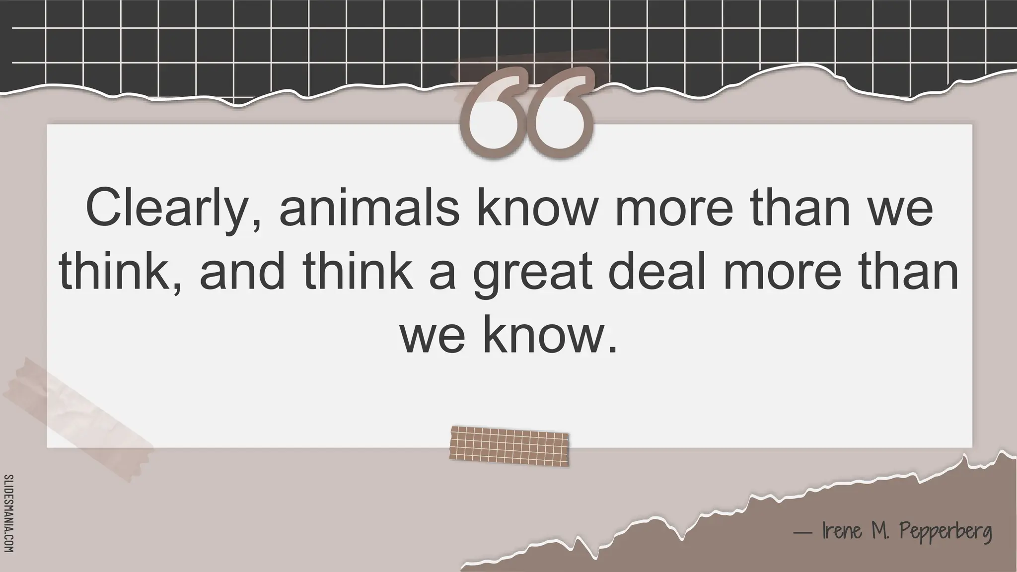 Scrap Notes · SlidesMania powerpoint ppt | PPT Scrap Notes · SlidesMania powerpoint ppt | PPT