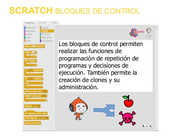 ¿Como se dividen las funciones?