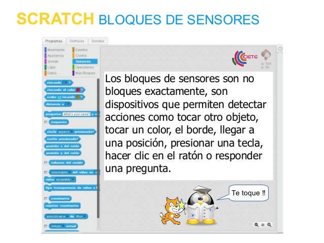 ¿Como se dividen las funciones?