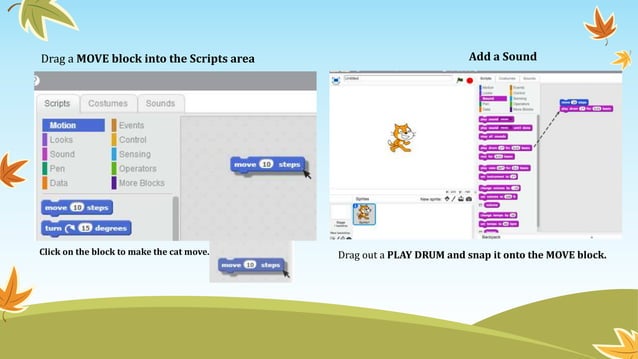 Scratch Programming | PPTX | Programming Languages | Computing