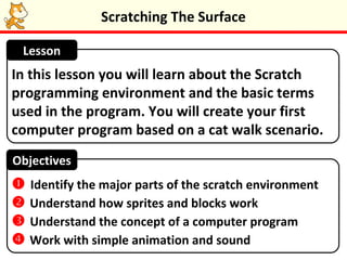 Scratching the surface | PPT