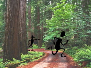 Screen Beans | PPT | Free Download