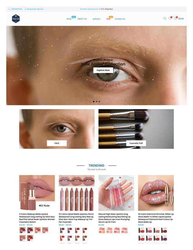 a Shopify store development | PDF