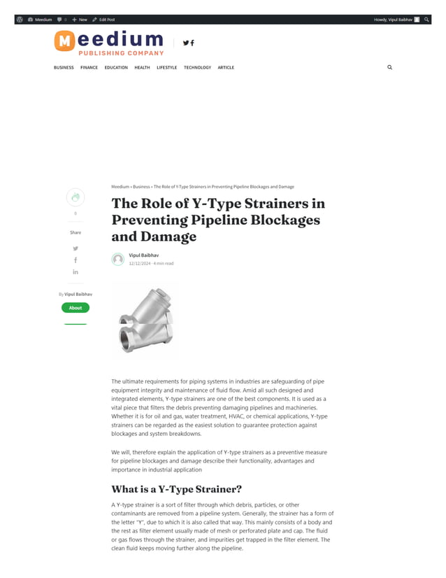 The Role of Y-Type Strainers in Preventing Pipeline Blockages and ...