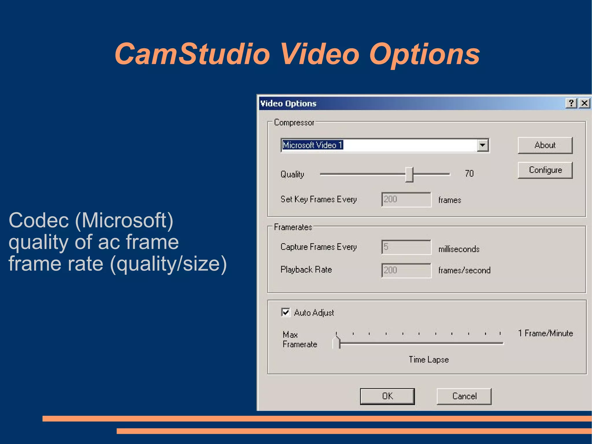 Screen Capturing Animated | PPT