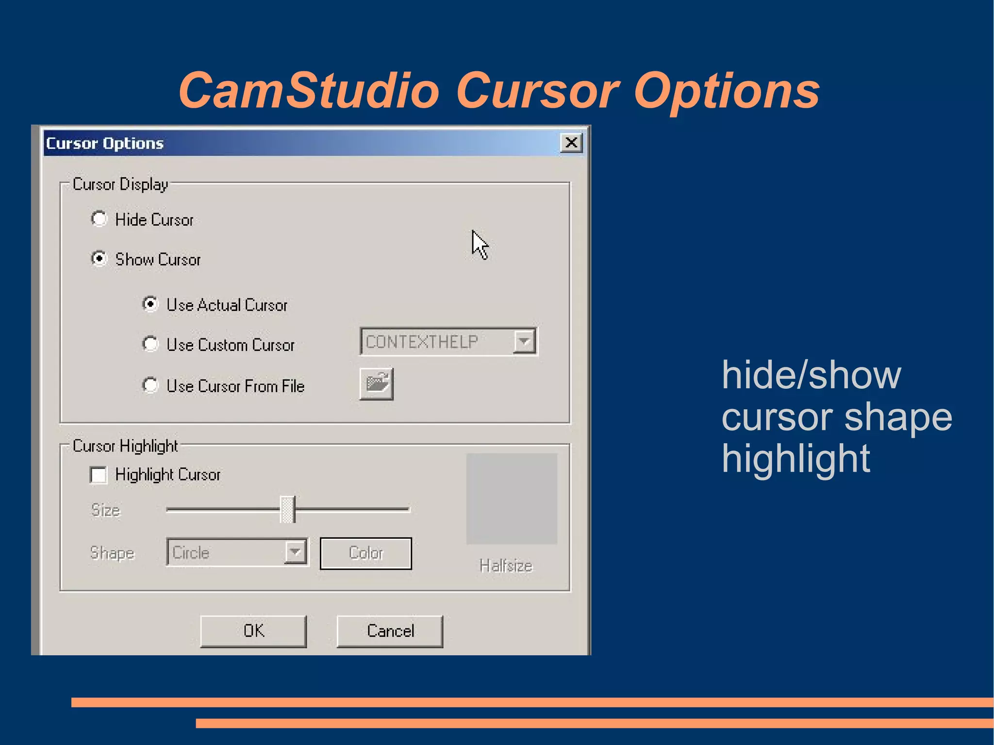 Screen Capturing Animated | PPT