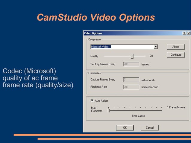 Screen Capturing Animated | PPT