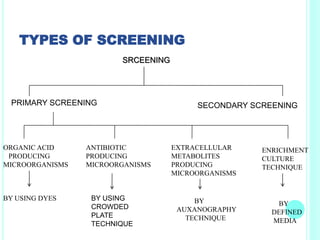 Screening | PPT