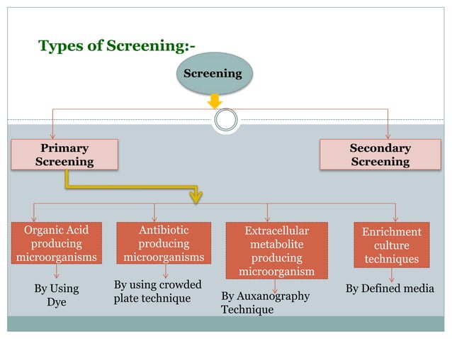 Screening | PPTX | Medical Tests | Medical Health