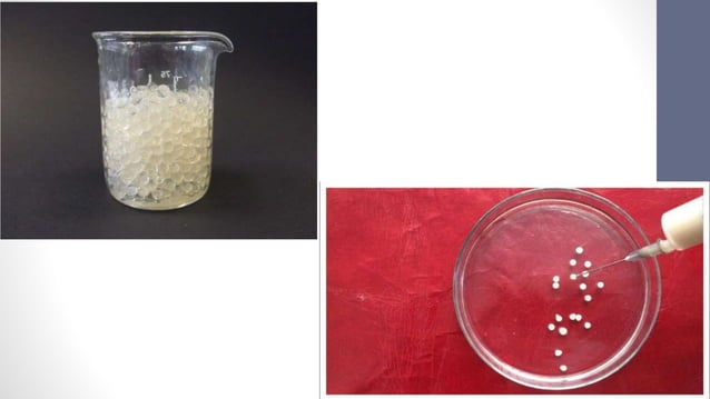 Screening of industrial microorganisms | PPTX | Chemistry | Science