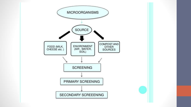Screening of industrial microorganisms | PPTX | Chemistry | Science