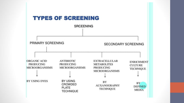 Screening of industrial microorganisms | PPTX | Chemistry | Science