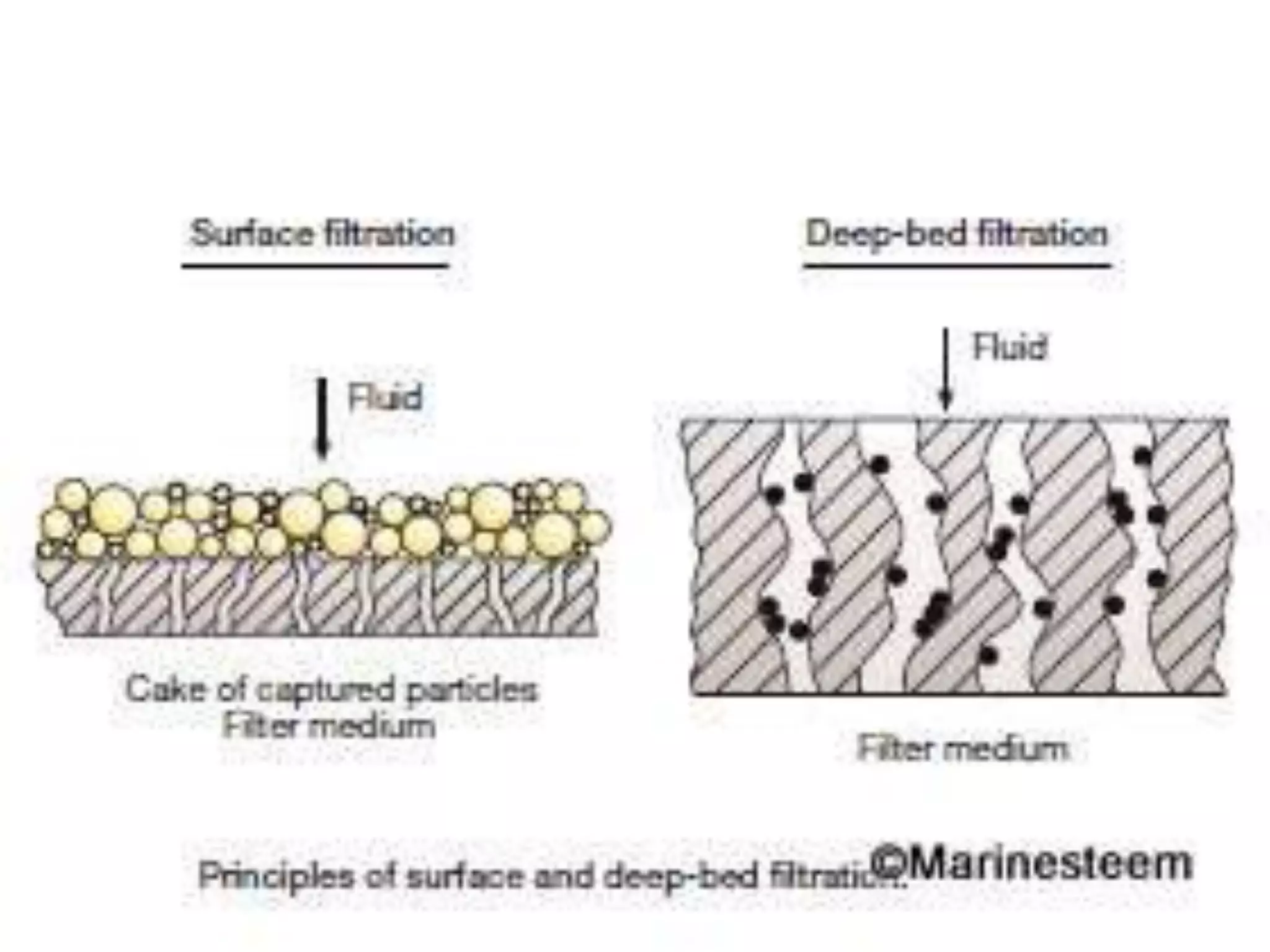 Screening and-filtration in food science and technology | PPTX