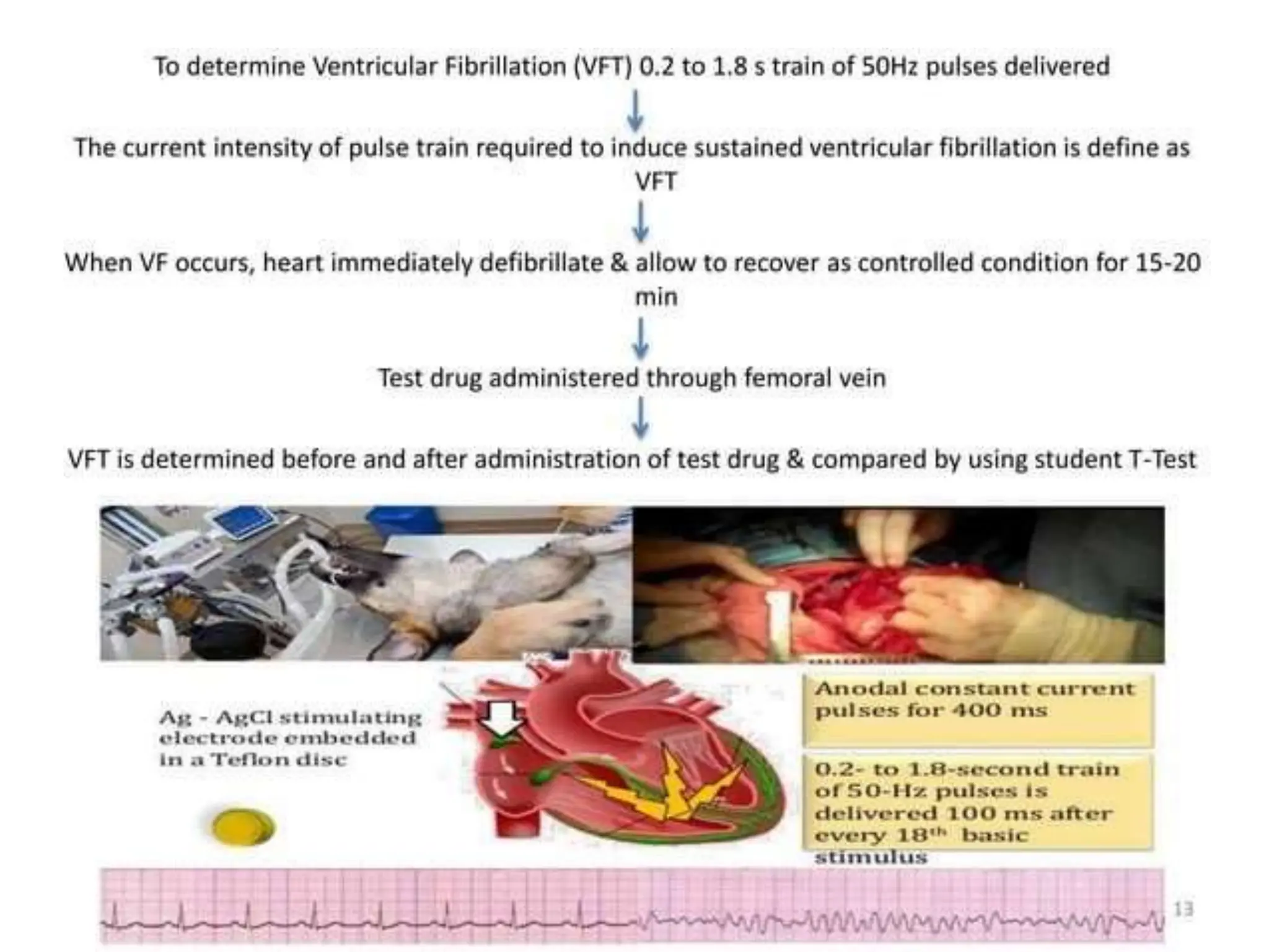 Screening-methods-for-antiarrhythmic-agents.pptx