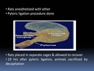 Screening methods for Anti Ulcer Drugs | PPTX