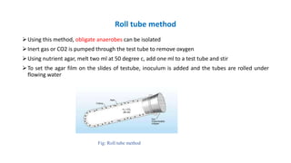 aassddffgghhjjkklliuuytgvScreening 2.pptx