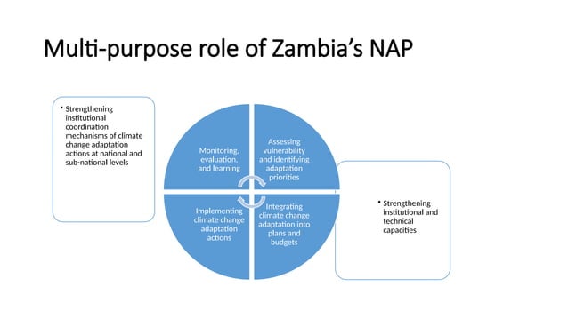 Screening and Appraising NAP Climate Change Adaptation Options.pptx