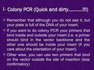 Screening and maintainance of the clones.ppt